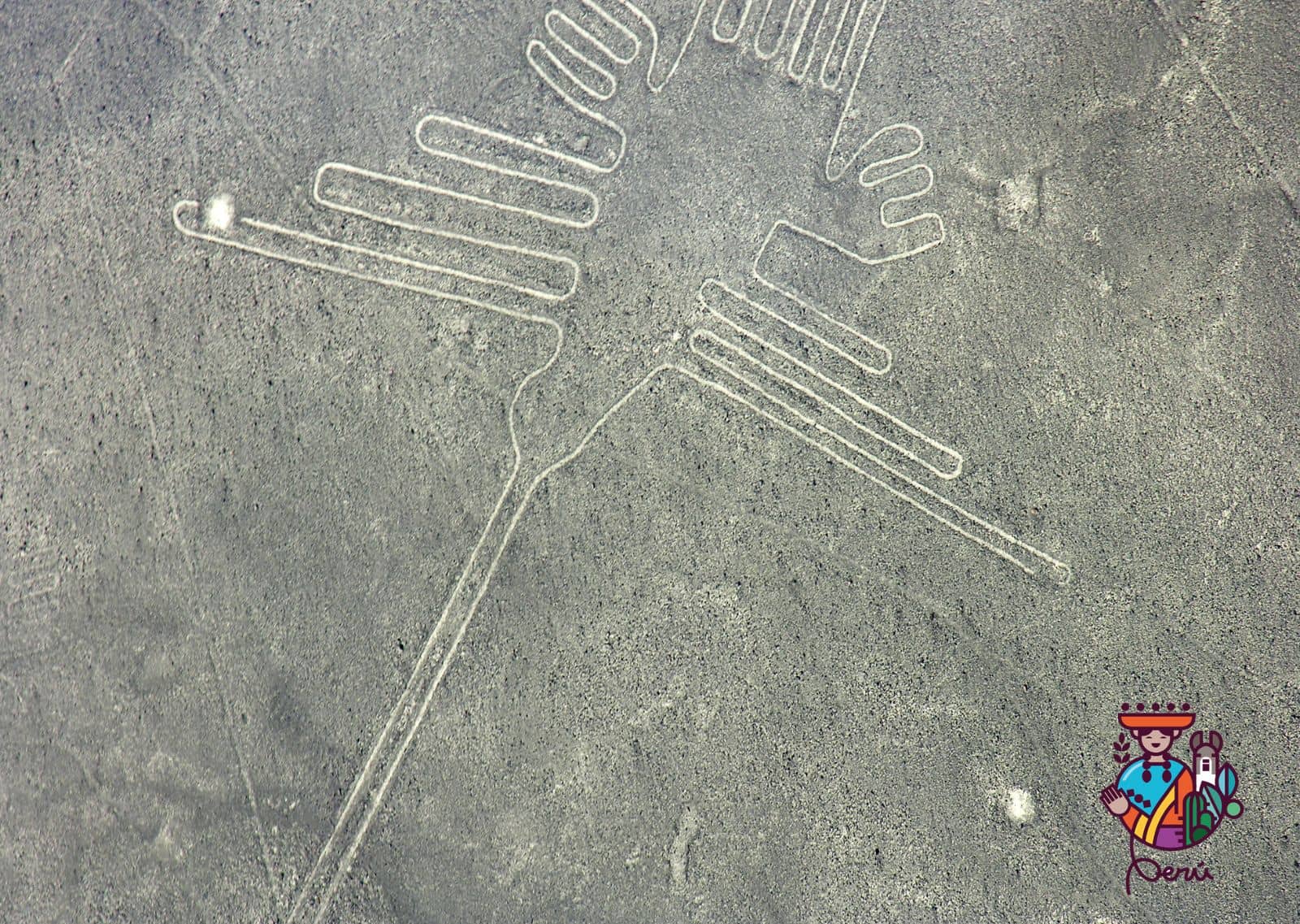 Lineas de nazca - El Peru en fotos