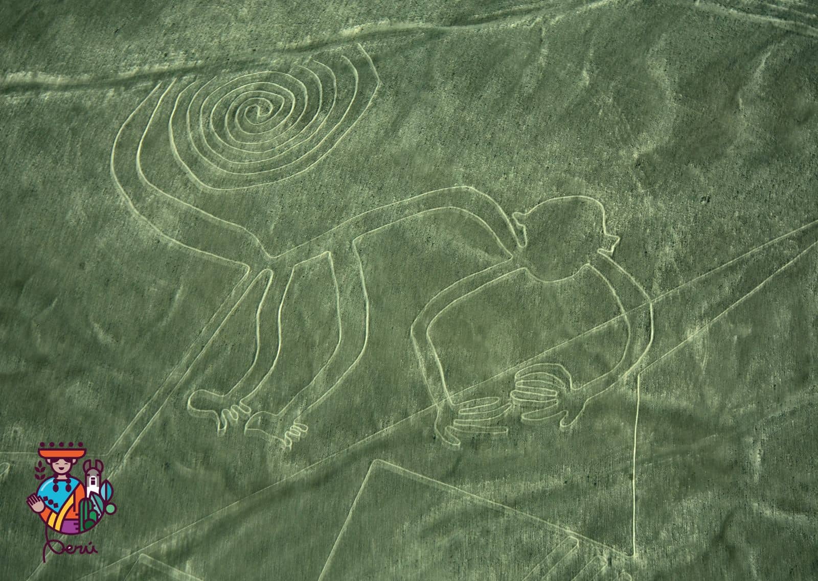 Lineas de nazca | El Peru en fotos
